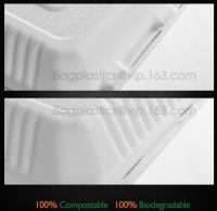 China Compostable Clamshell Take Out Food Containers, Natural Disposable Bagasse, Eco-Friendly, Sugar Cane Fibers for sale
