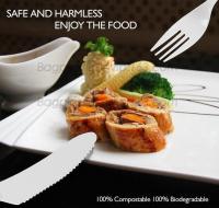 China Ecofriendly Cutlery, Fork, Knife, Spoon, Caterers & Canteens, Restaurants, Fast Food And Takeaway, Food Service for sale