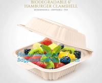 China Catering Eco-Friendly Container Compartment Starch lunch Meal Box, Disposable Takeaway Packaging, Takeout for sale