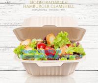 China Catering Eco-Friendly Container Compartment Starch lunch Meal Box, Disposable Takeaway Packaging, Takeout for sale