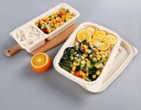 China Take Away Fast Food, Compartment Packing Box, Containers, Starch Biodegradable, Environmental Lunch Meal Box for sale