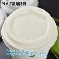 China Eco-friendly, Blodegradable, Compostable, PLA Lined Disposable Hot Cold Beverage Cup Set, Cafe, Shops, Kiosk for sale