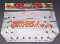 China Eco Friendly, Resealable Fruits Vegetable, Food Packaging, Foil Biodegradable Dried Fruit Nut Polyester Film Bag for sale