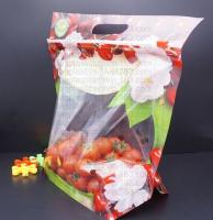 China slider Zipper Top, Vest Handle Pouch Bags, Keep Fresh pouch Bag with air Holes hanging hole, handy Handle for sale