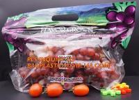 China slider Zipper Top, Vest Handle Pouch Bags, Keep Fresh pouch Bag with air Holes hanging hole, handy Handle for sale