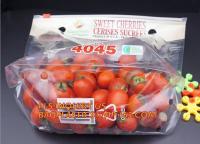 China slider Zipper Top, Vest Handle Pouch Bags, Keep Fresh pouch Bag with air Holes hanging hole, handy Handle for sale