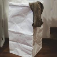 China Kraft Paper Storage Bag, Laudry Kraft Bags, Clothes Bags, Pack Recycled Brown Paper Bag, Drawer Organizer for sale