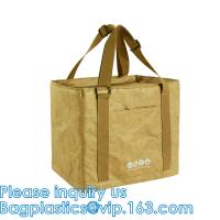 China Tyvek Cooler Tote, Nylon Polyster Lunch Bags, Picnic Bag Kraft Paper Lunch Bag, Thermal, Transport Portable for sale