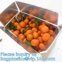 China Cooler Box Container Packing Carton Foil Foam Lined Keep Cold Hot For Hours Thermal Shipping Containers for sale