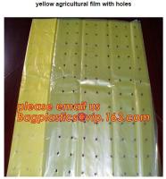 China perforated ground film, Vapor Barrier film, Greenhouse film, Agricultural Panda Film, Reflective Maylar Film for sale