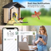 China 1.5L Smart Bird Feeder with 5MP Camera and Squirrel Repellent for sale