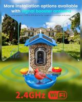 China Outdoor Smart Visible Bird Feeder With Camera Wireless PIR Motion Sensor for sale