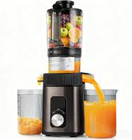 China Cold Press Juicer Masticating Juicer Cold Press System Large Chute For Fruit Vegetable for sale
