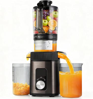 China Cold Press Juicer Masticating Juicer Cold Press System Large Chute For Fruit Vegetable for sale