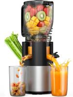 China Stainless Steel Masticating Juicer 60 RPM Slow Cold Press with Reverse Mode 65 dB Low Noise for sale