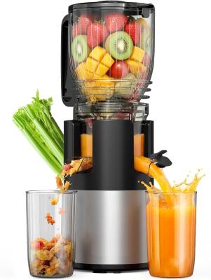 China Stainless Steel Masticating Juicer 60 RPM Slow Cold Press with Reverse Mode 65 dB Low Noise for sale