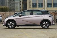 China 2024 Byd Dolphin Honor Free Edition Electric Vehicles 420km EV Electric Vehicles ABS System for sale