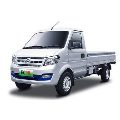 China Ruichi EC31L 2 Seats Small Flatbed Mini Truck Electric Delivery Truck for sale