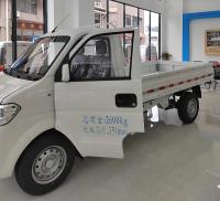 China Ruichi EC31L 2 Seats Small Flatbed Mini Truck Electric Delivery Truck for sale