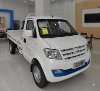 China Ruichi EC31L 2 Seats Small Flatbed Mini Truck Electric Delivery Truck for sale