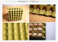 China Paper Egg Tray Forming Machine, Paper Egg Tray Molding Machine, Egg Carton Making Machine for sale