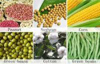 China Mounted Farming Tools Equipment Professional CE Seed Planter Machine for sale