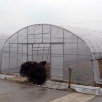 China Polythene PE Film Greenhouse Muitl Span Strong Applicability 200 Microns for sale