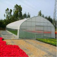 China Polythene PE Film Greenhouse Muitl Span Strong Applicability 200 Microns for sale
