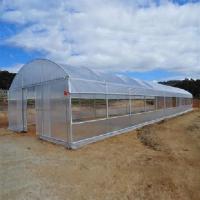 China 100 Micron PE Film Greenhouse Single Layer Plastic Tunnel Greenhouse for sale