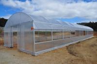 China Galvanized Steel Frame PE Film Greenhouse 3.2m High Tunnel Greenhouse for sale