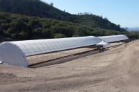 China Single Tunnel PE Film Greenhouse Economic Type Vegetable Green House for sale