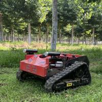 China Weed Remover Agricultural Lawn Mower TUV Walk Behind Mower 550mm for sale