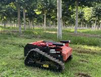 China Weed Remover Agricultural Lawn Mower TUV Walk Behind Mower 550mm for sale
