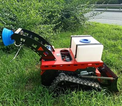 China Weed Remover Agricultural Lawn Mower TUV Walk Behind Mower 550mm for sale