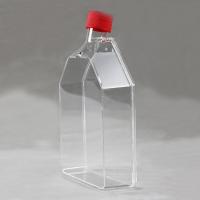 China Plastic T75 Cell Culture Flask Surface Area 75 Cm² Seal Cap Filter Caps for sale