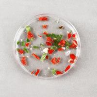 China 90mm X 15mm Culture Disposable Plastic Petri Dish for sale