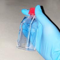 China Polystyrene Tissue T25 Culture Cell Flasks Non Cytotoxic seal cap vent cap for sale