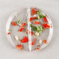 China Life Science Research Tissue Culture Petri Dish 2 Compartment for sale