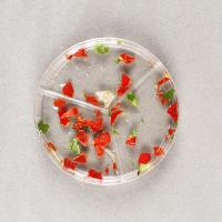 China Bacterial Culture Plastic Petri Dish 3 Compartment With Lid Culture Dishes for sale