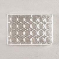 China Non Treated Micro 24 Well Cell Culture Plate With Insert for sale