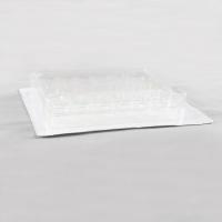 China Non Treated Micro 24 Well Cell Culture Plate With Insert for sale