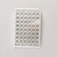 China Untreated 48 Well Cell Culture Plate For Suspension Cell Culture Products for sale