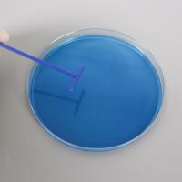 China Medical Lab Inoculation Loop T Shaped Bacterial Cell Spreader With Smooth Rounded Surfaces for sale