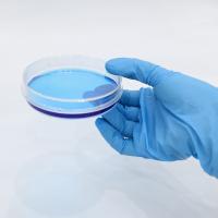 China Disposable Ps Cell Culture Dish Round 35mm 60mm 70mm 90mm 100mm 120mm 150mm for sale