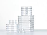 China Smooth Surface Sterile Petri Dish Medical Laboratory for sale
