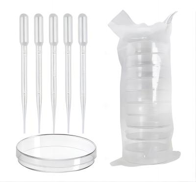 China Laboratory Plastic Petri Dish Transparent Sterile 90x15mm for sale