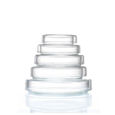 China Medical Sterile Plastic Disposable Culture Petri Dish 90mm for sale