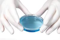China Disposable Ps Cell Culture Dish Round 35mm 60mm 70mm 90mm 100mm 120mm 150mm for sale