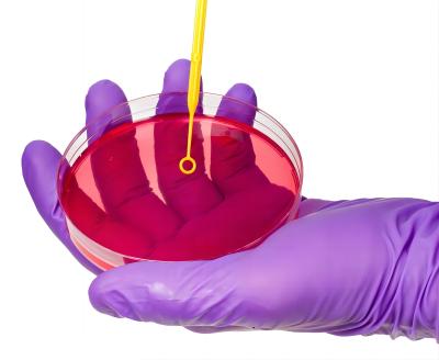 China Smooth Surface Sterile Petri Dish Medical Laboratory for sale