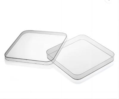 China Square Shape Plastic Petri Dish Uses In Laboratory With Vent for sale